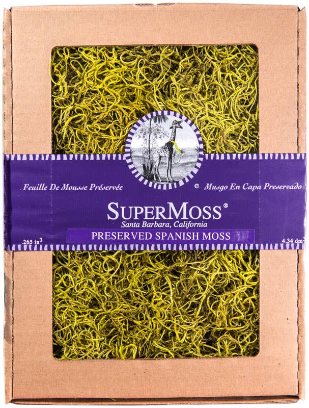 Spanish Moss 4oz: Chartreuse