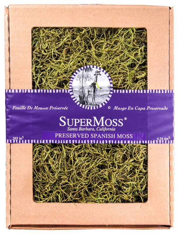 Spanish Moss 4oz: Basil