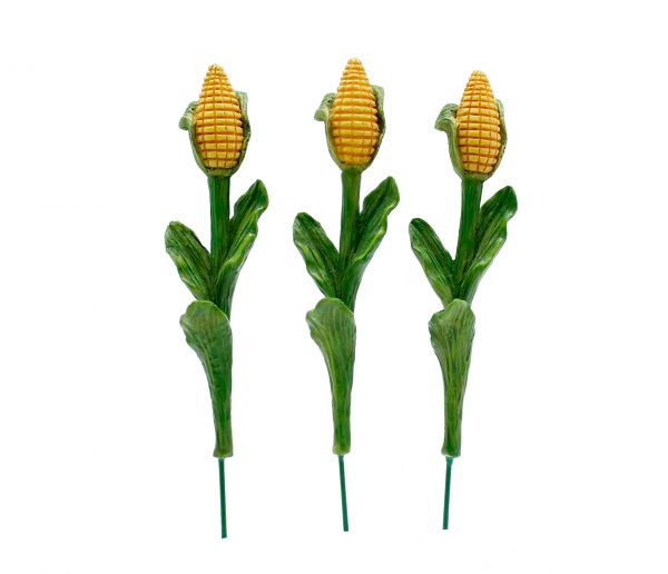 Corn Stalks, Fairy Garden Corn, Mini Corn Stalks, Miniature Corn Stalk