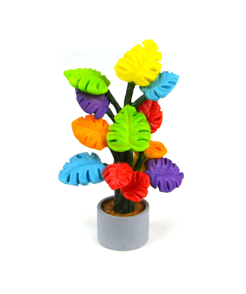 Mini Rainbow Plant, Fairy Garden Plant