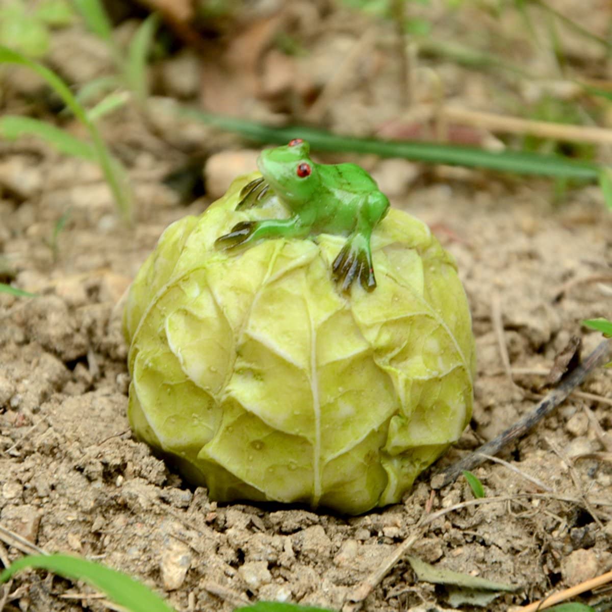 Mini Frog On Cabbage, Miniature Frog, Fairy Garden Frog